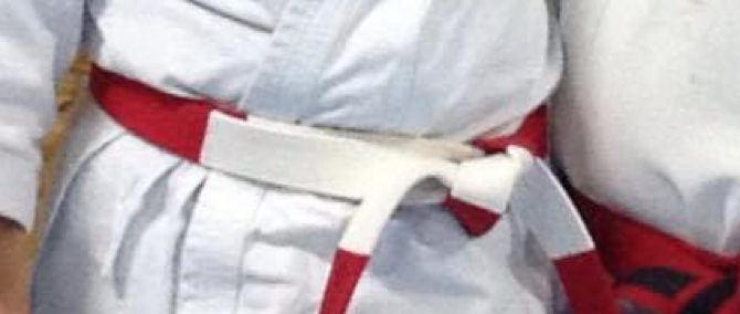 2015 The Year of the Shihan Dai - International Karate Kobudo Union